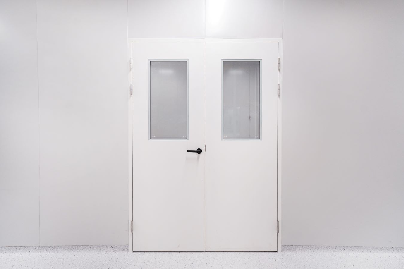 Steel Pharma Doors